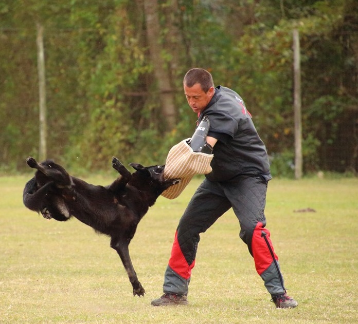 2019 IGP NATIONALS WINNER - IGP SPORT FOR GERMAN SHEPHERD DOGS